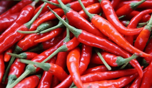 wellhealthorganic.com:red-chilli-you-should-know-about-red-chilli-uses ...