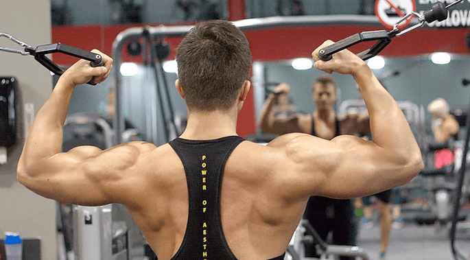 wellhealthorganic.com/how-to-build-muscle-know-tips-to-increase-muscles ...